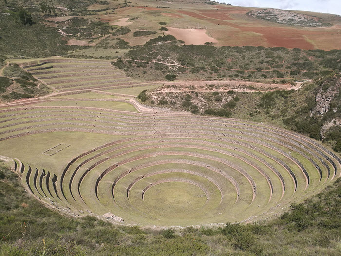 moray | Verylvke